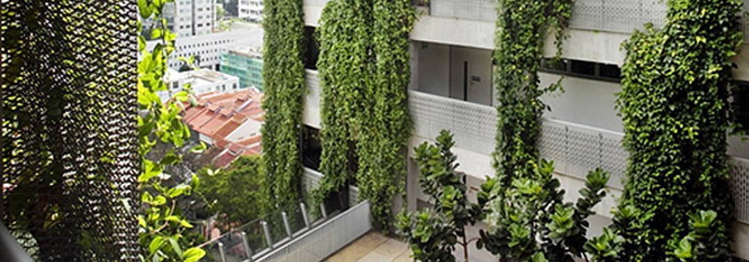 Learning from Nature