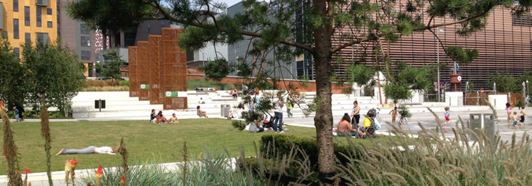The Role of Landscape Architecture in Creating Biophilic Environments ...