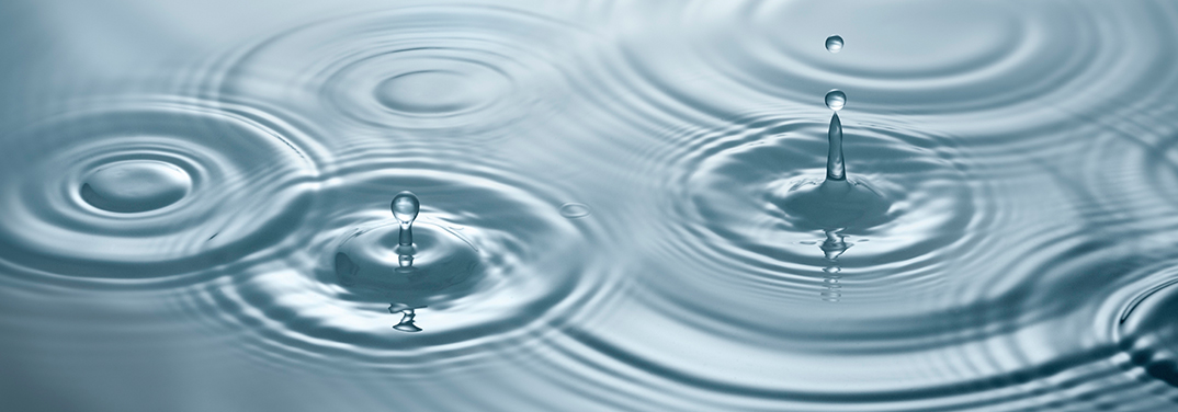14 Patterns of Biophilic Design: Presence of Water | Human Spaces